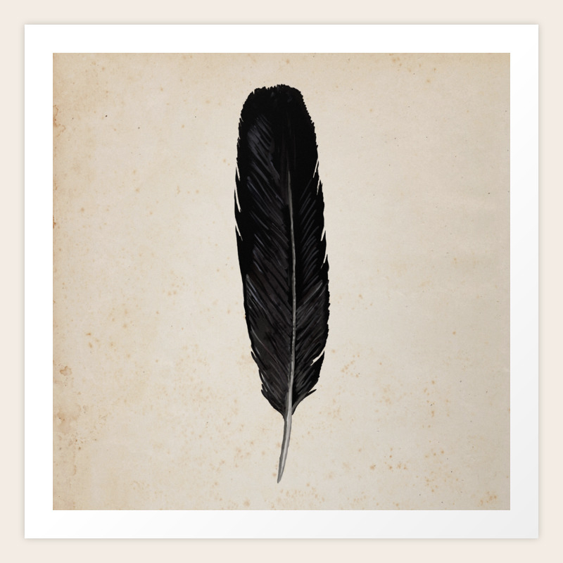Raven Feather Drawing